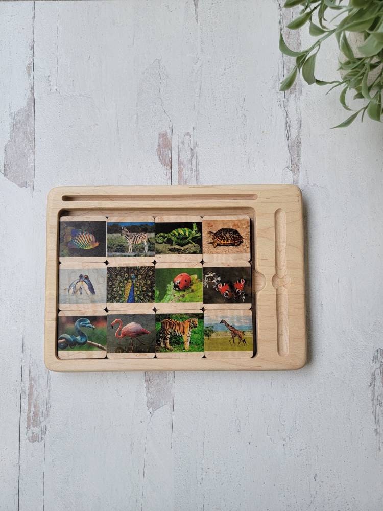 Skin Matching Game Pattern Matching and Sequencing | Etsy