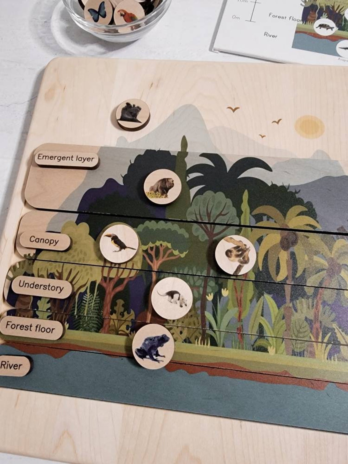 Layers of a Rainforest Wooden Puzzle Amazon Rainforest - Etsy