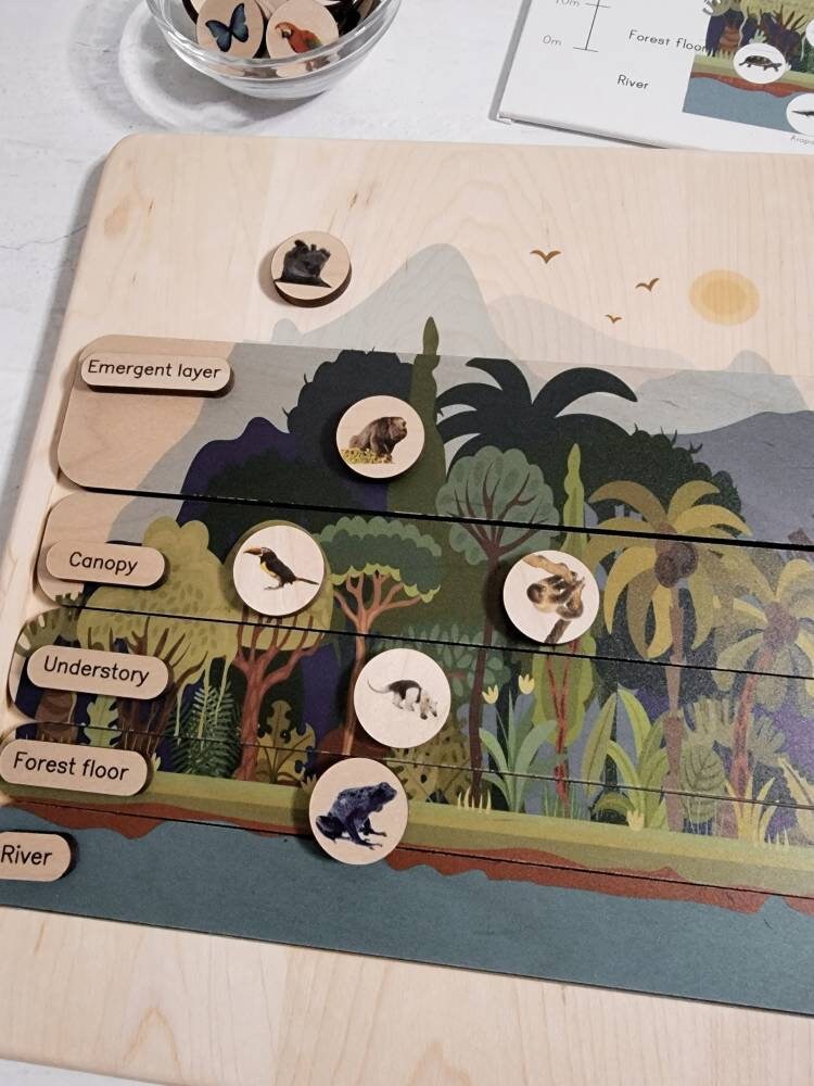 Layers of a Rainforest Wooden Puzzle Amazon Rainforest - Etsy