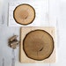 Parts of a Tree Trunk Puzzle Layers of Tree Trunk Tree Ring - Etsy