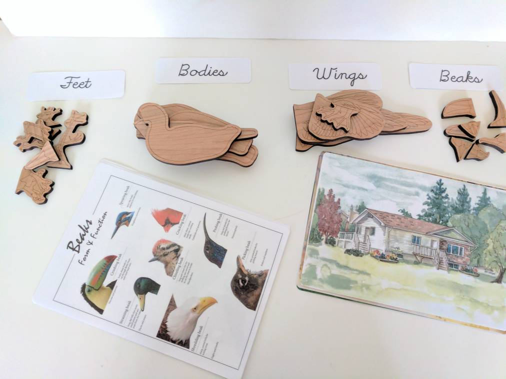 Bird Lover Gift Build a Bird Wooden Puzzle Montessori Toys | Etsy