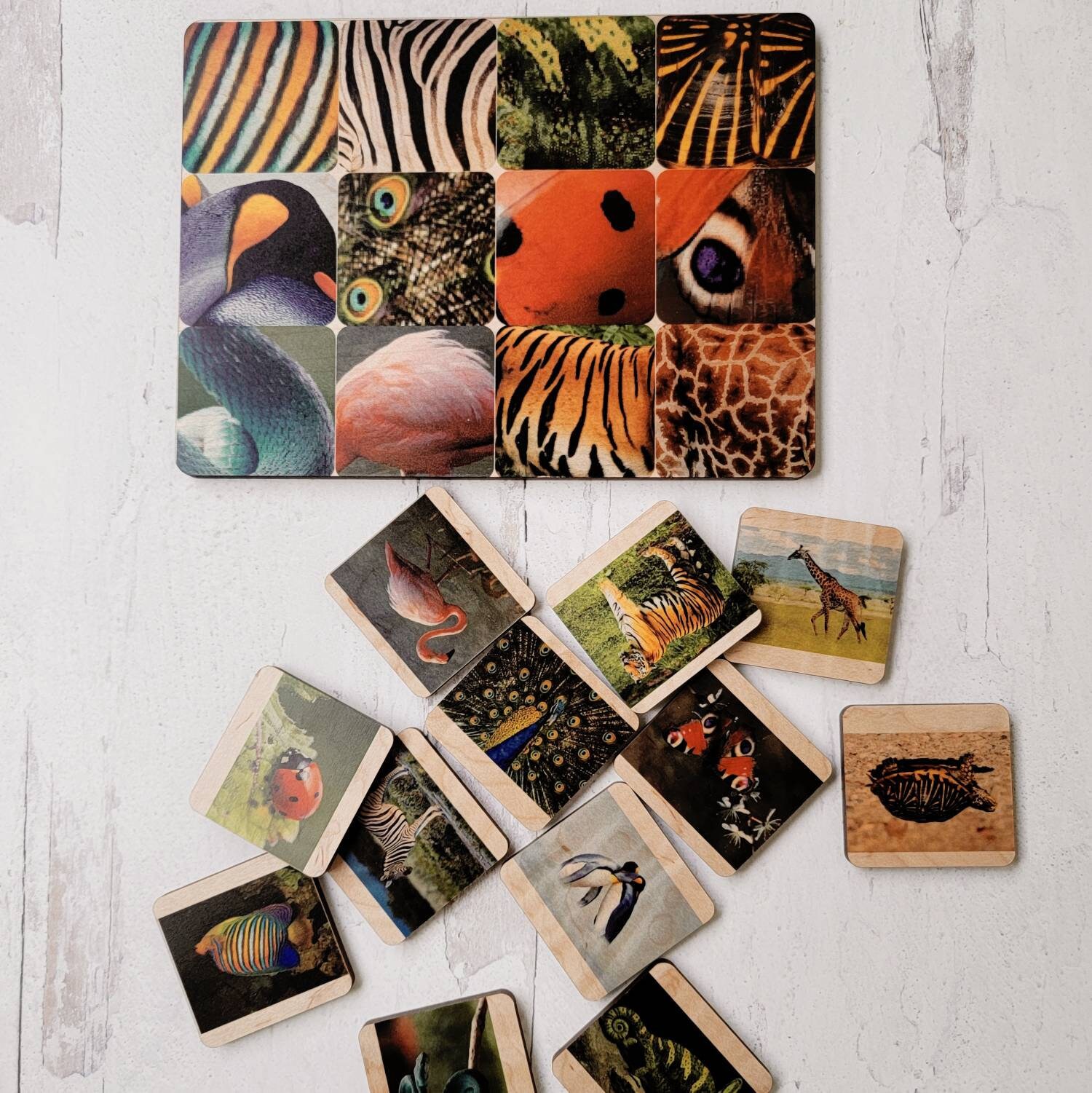 Skin Matching Game Pattern Matching and Sequencing - Etsy