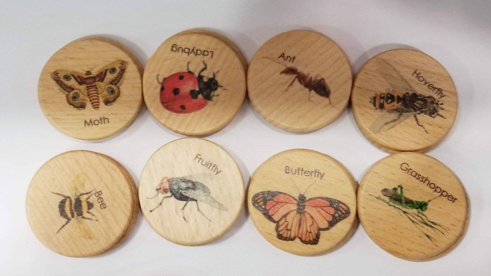 Backyard Birds Memory Puzzle Wooden Memory Game Farm - Etsy