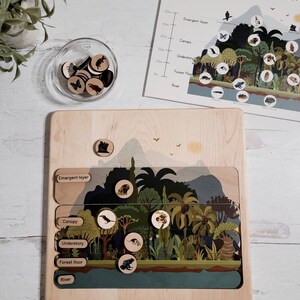 Layers of a Rainforest Wooden Puzzle Amazon Rainforest Anatomy ...