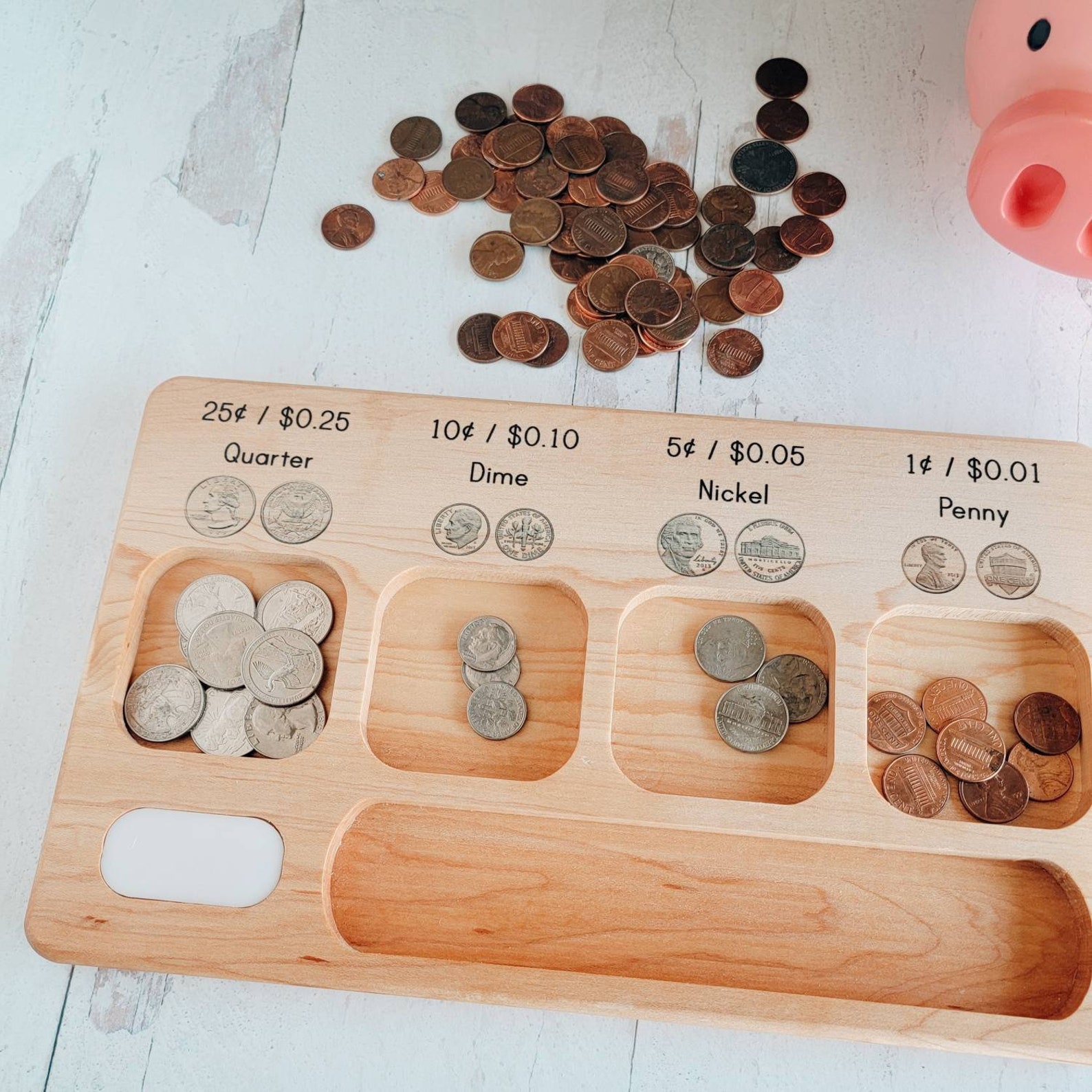 Coin Sorting Board Money Manipulation Board Money Activity | Etsy