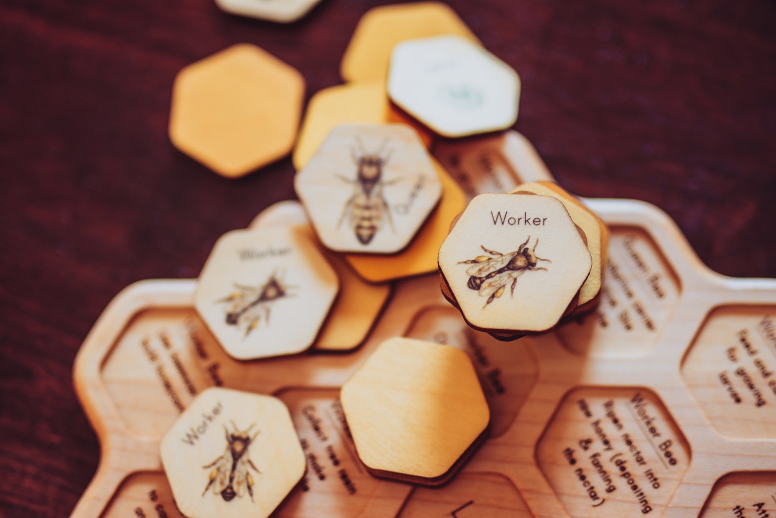 Honey Bee Puzzle Honeycomb Bee Life Cycle Honey Bee - Etsy