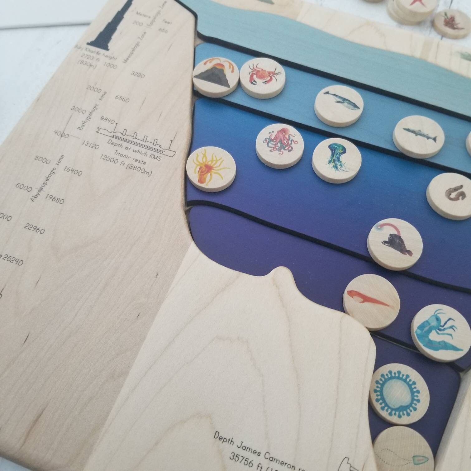Layers of the Ocean Puzzle Ocean Zones Wooden Puzzle - Etsy Canada