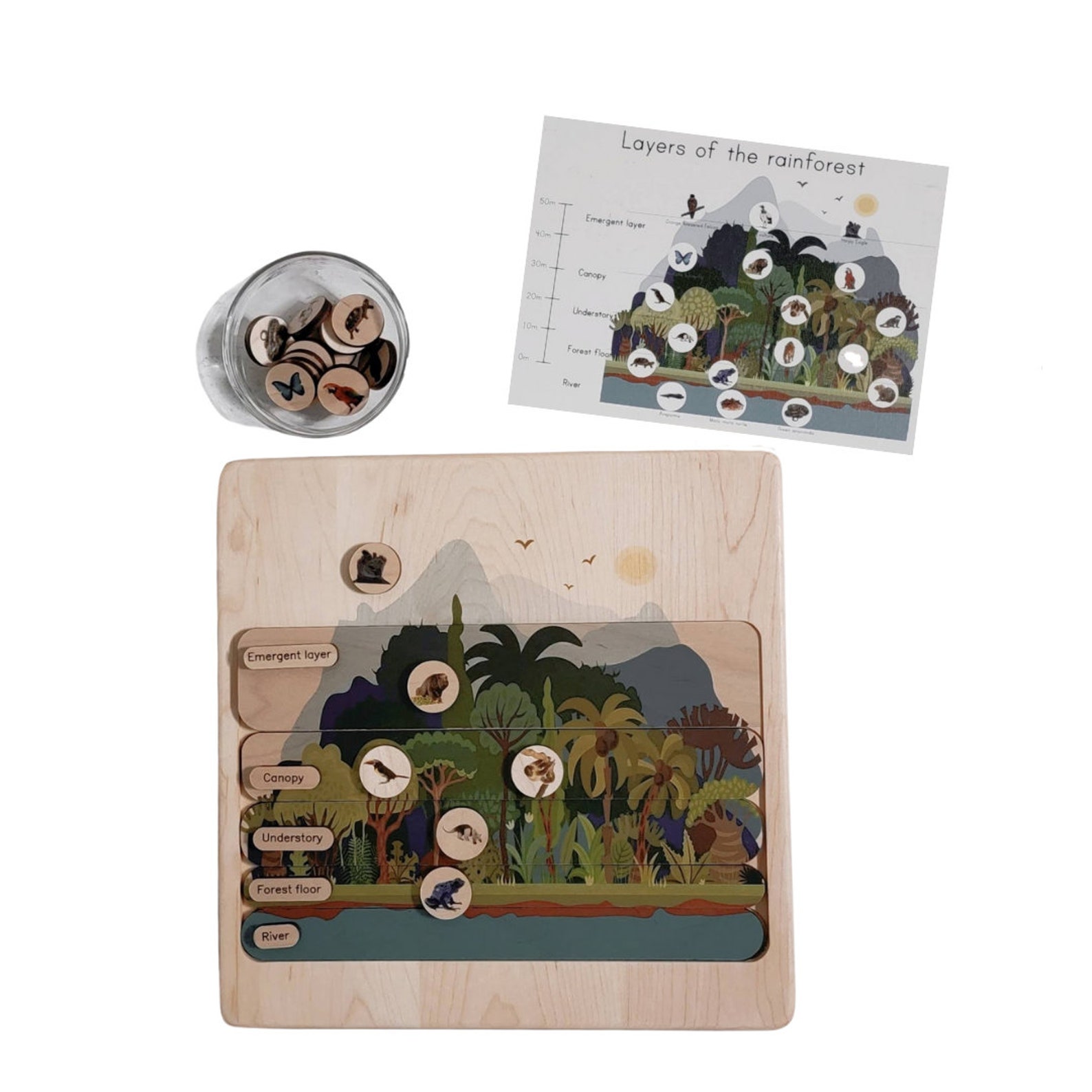 Layers of a Rainforest Wooden Puzzle Amazon Rainforest - Etsy