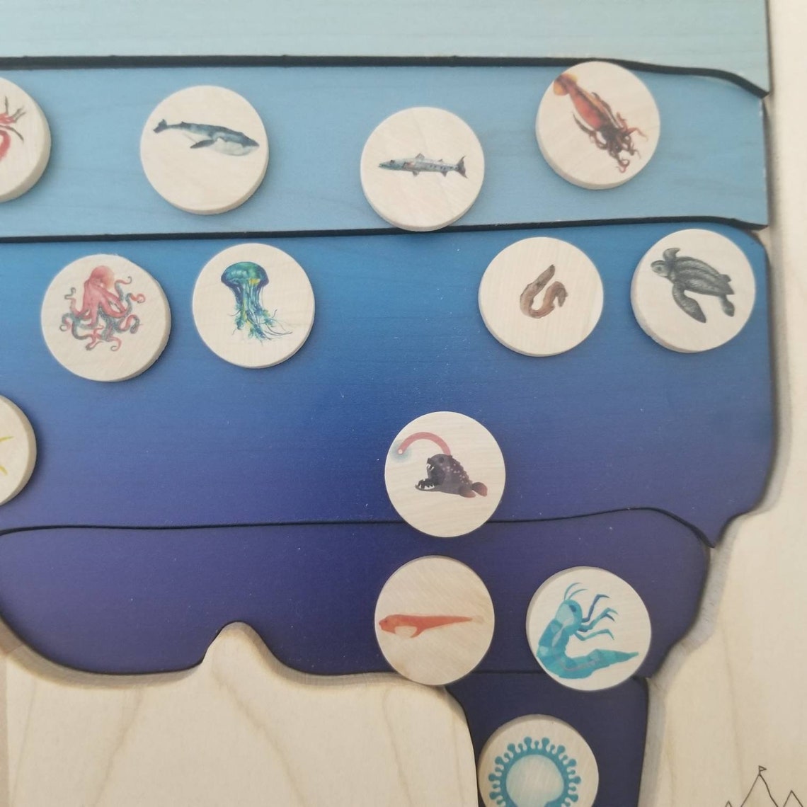 Layers of the Ocean Puzzle Ocean Zones Wooden Puzzle - Etsy