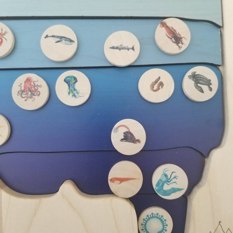 Layers of the Ocean Puzzle Ocean Zones Wooden Puzzle - Etsy