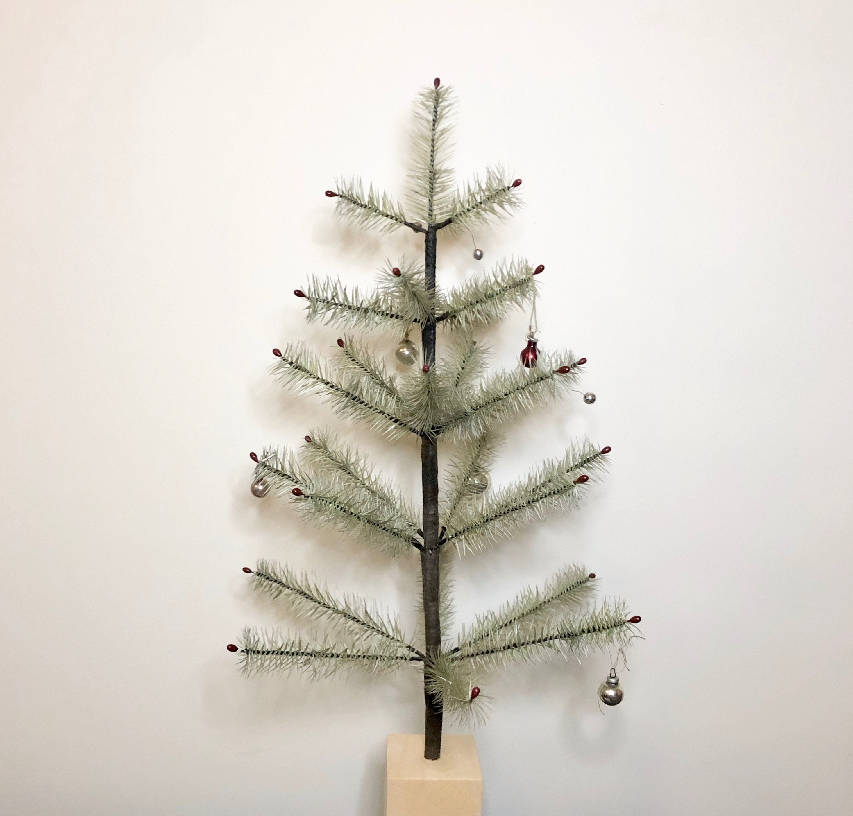 German Feather Trees