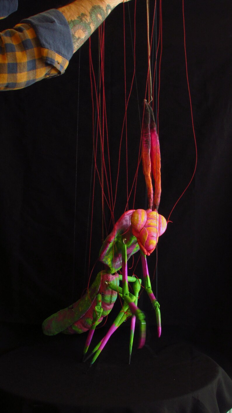 Praying Mantis. Impressive, Unique and Original Design. %100 Handmade ...