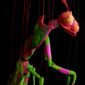 Praying Mantis. Impressive, Unique and Original Design. %100 Handmade ...