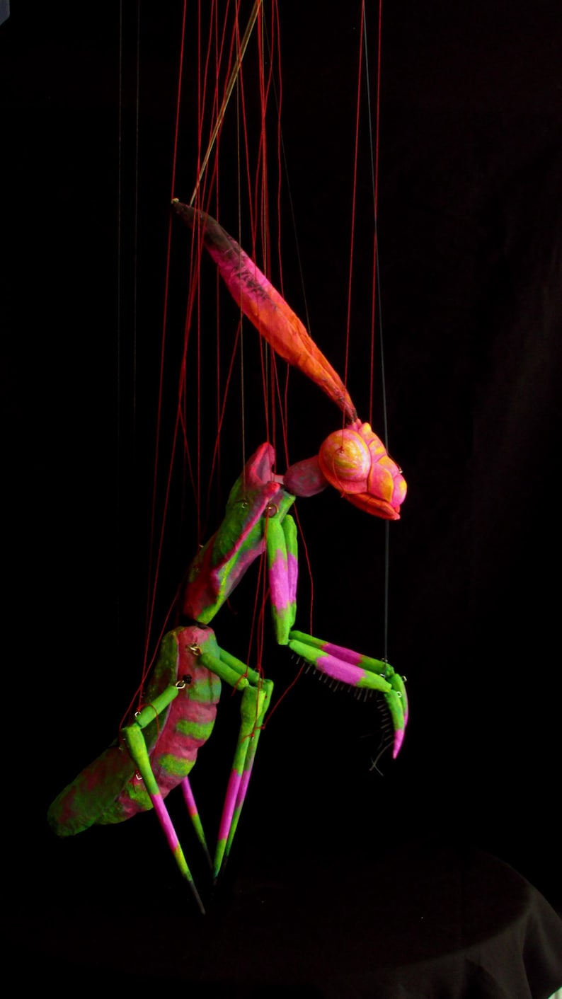 Praying Mantis. Impressive, Unique and Original Design. %100 Handmade ...