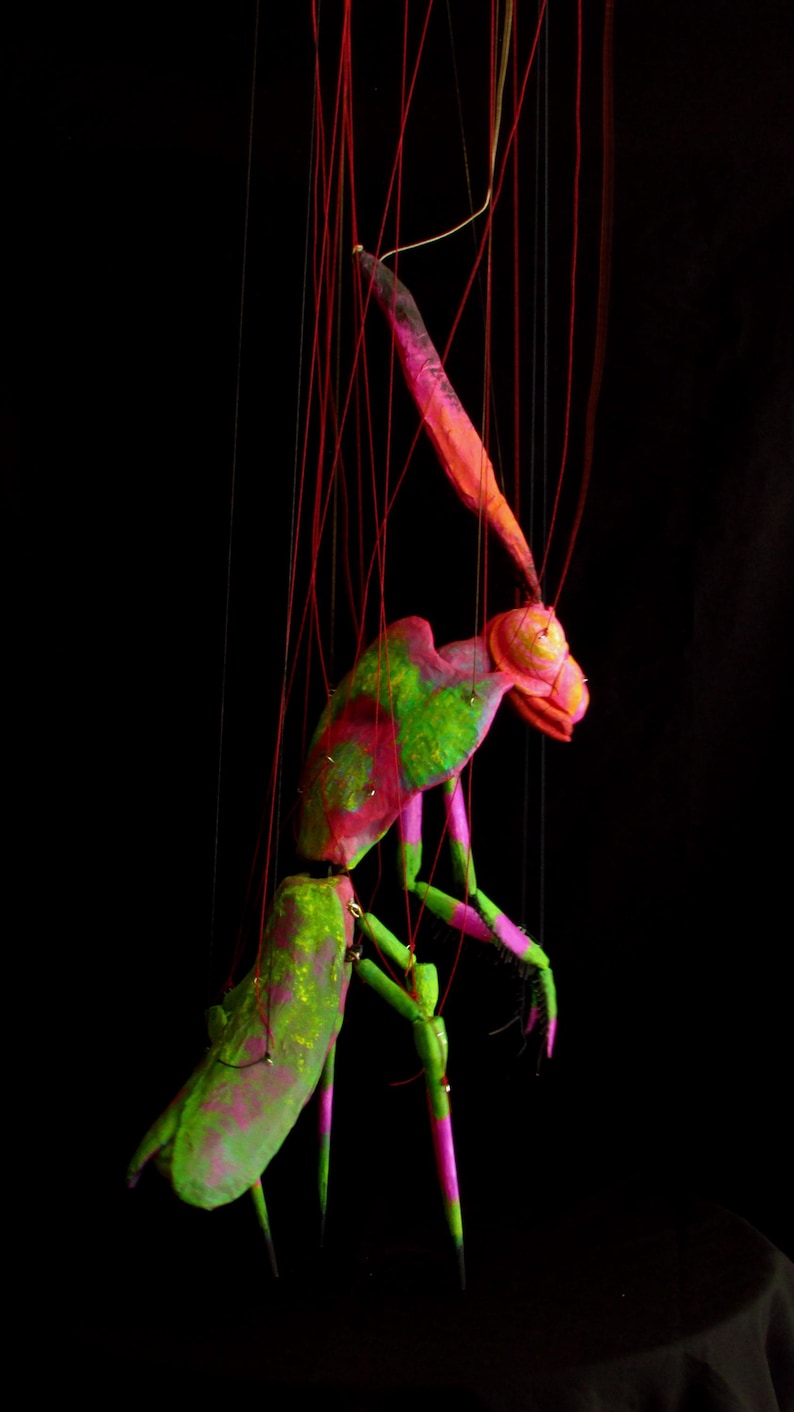Praying Mantis. Impressive, Unique and Original Design. %100 Handmade ...