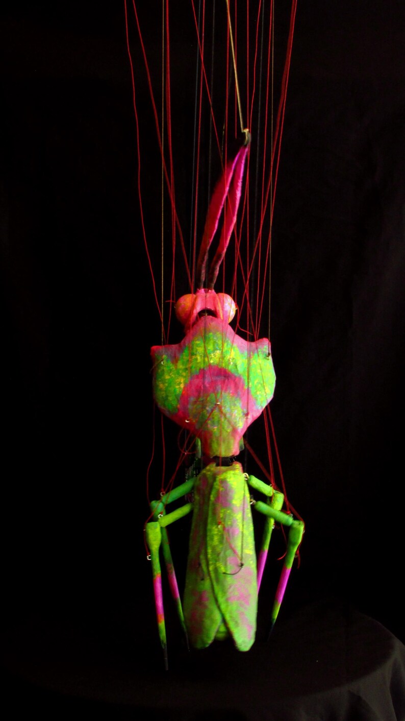 Praying Mantis. Impressive, Unique and Original Design. %100 Handmade ...