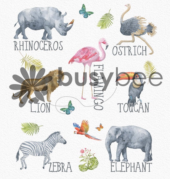 Instant Download Safari Animal Field Guide 8x10 Print | Etsy