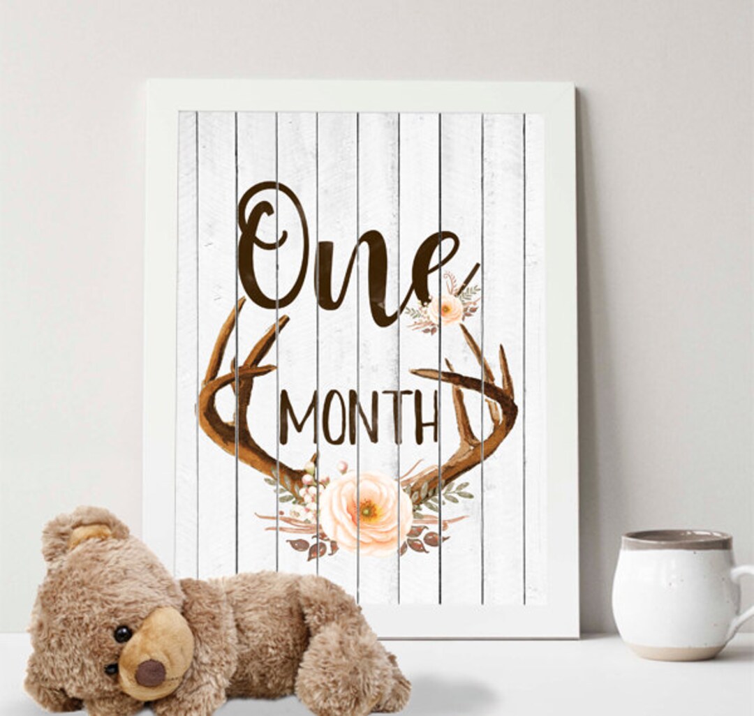 Instant Download, 12 Printable Monthly Age Photo Prop, Milestone, Baby ...