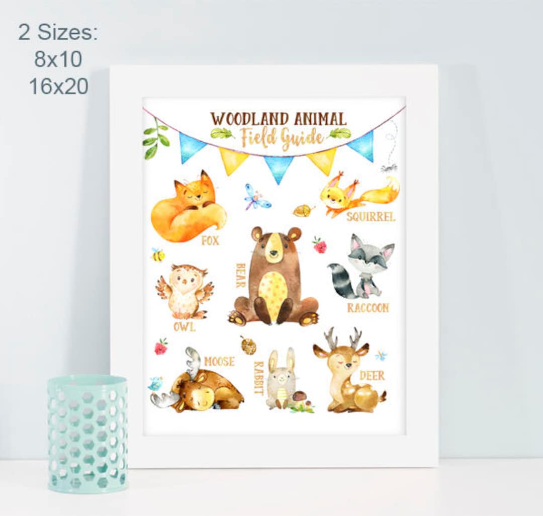 Instant Download, Woodland Animal Field Guide, Rustic Baby Nursery ...