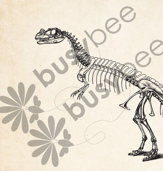 Instant Download, Dinosaur Print Set, Dinosaur Skeleton, Prehistoric ...