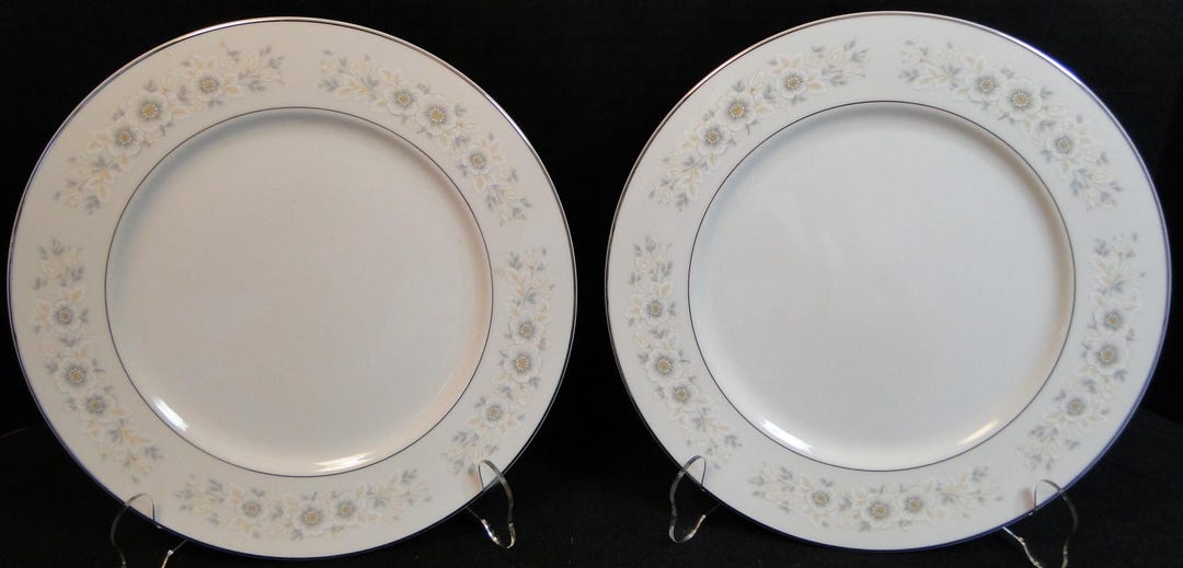 Carlton China Andover Dinner Plates - Set of 2 Floral Plates - Etsy