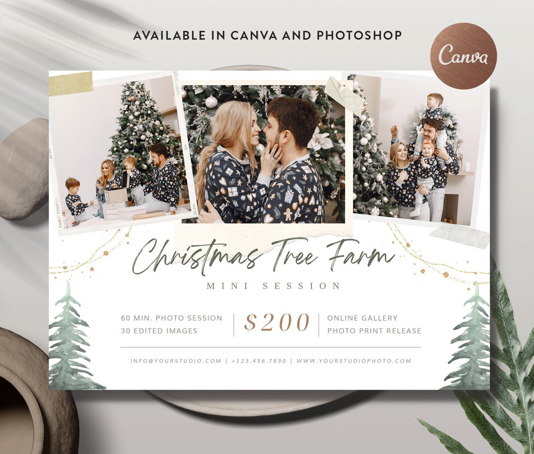 Christmas Mini Session Canva Template, Holiday Mini Session Flyer ...