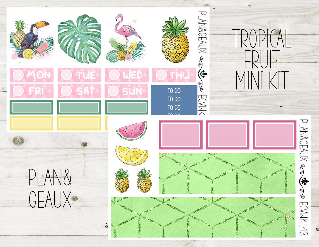 Tropical Fruit MINI Weekly Kit Planner Stickers, Tropical Planner Kit ...