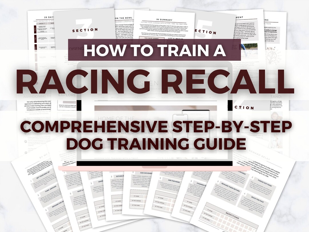 How to Teach Your Dog A RACING Recall Full Dog Training Programme 28 ...