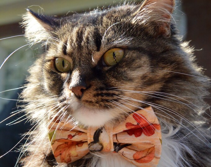 Fall Leaves Bow Tie Cat Collar, Cat Collar With Fall Leaves, Fall Cat ...