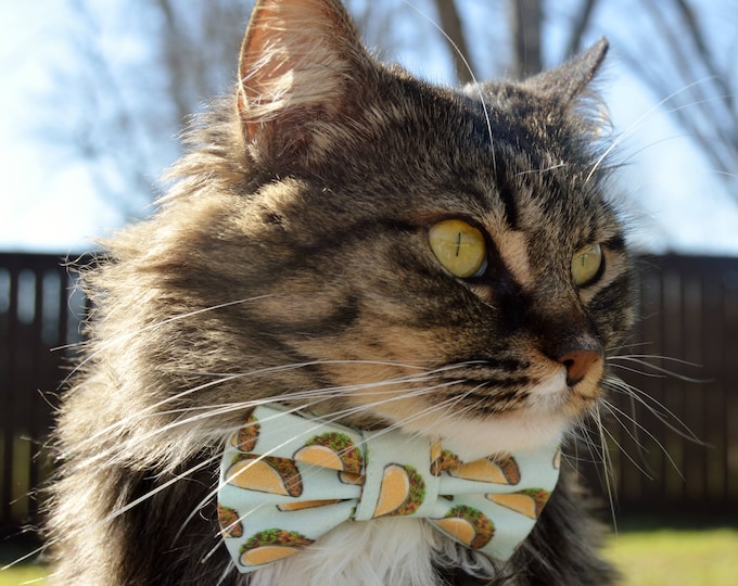 Halsbänder & Schmuck - Etsy DE