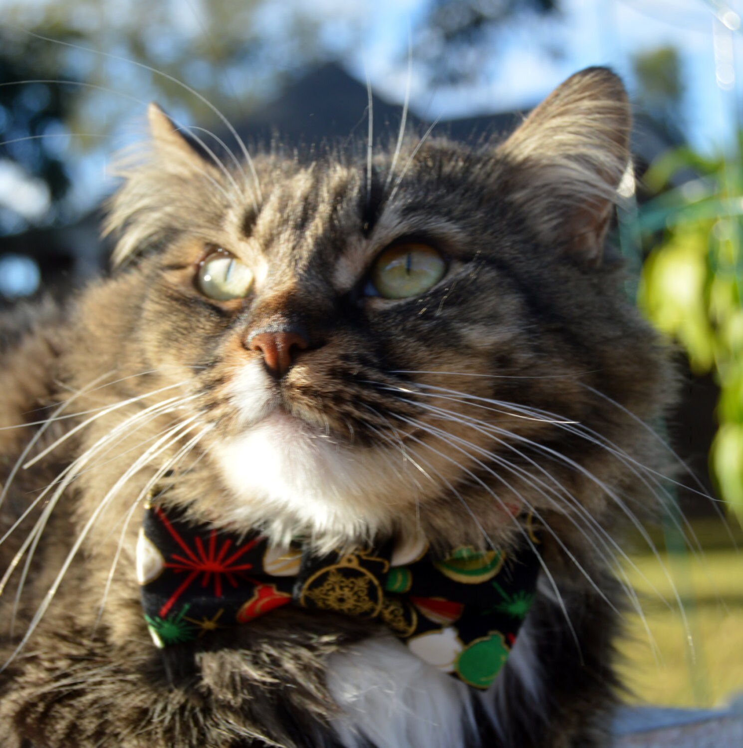 Christmas Ornament Cat Collar Cat Bow Tie for Christmas Cat - Etsy
