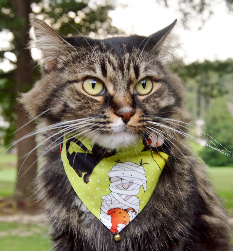 Cat Bandana for Halloween Set of 2 Reversible Halloween Slip - Etsy
