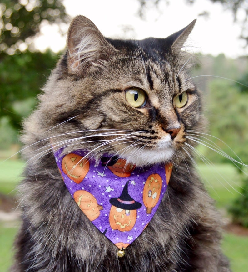 Cat Bandana for Halloween Set of 2 Reversible Halloween Slip - Etsy