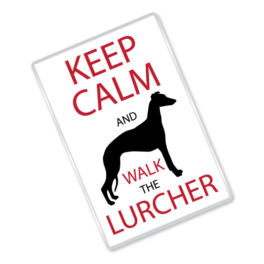 How Much Walking Does A Lurcher Need