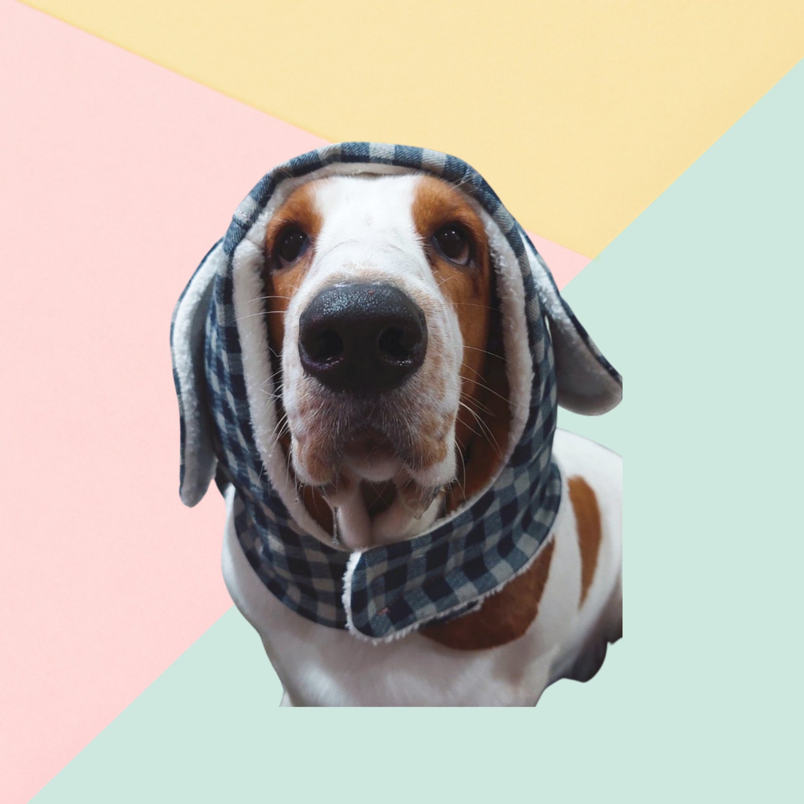 Dog Snood Sewing Pattern: 5 SIZES Included Reversible Winter Hat, Ear ...