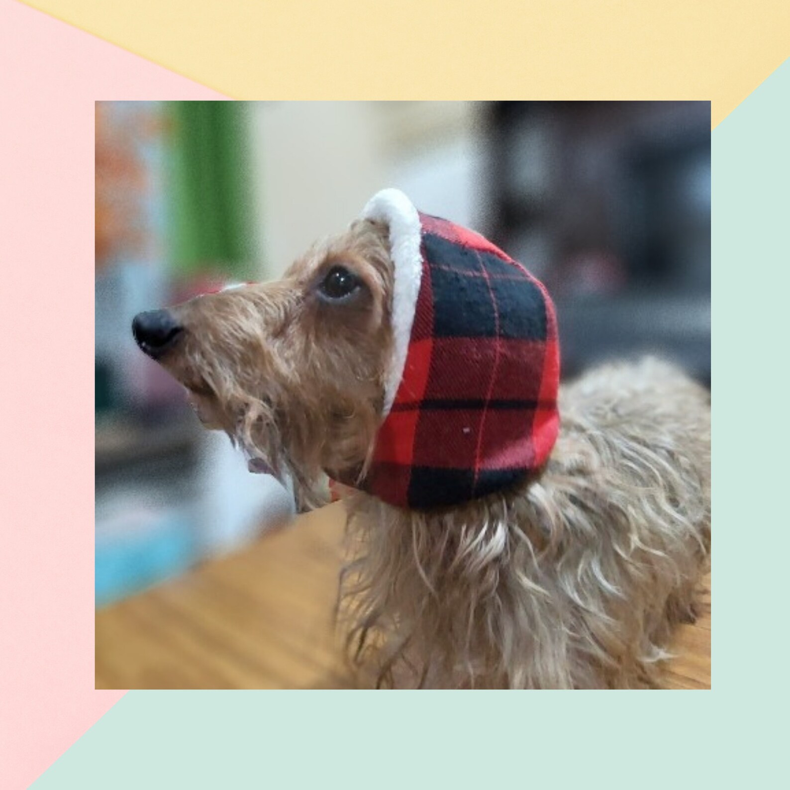 Dog Snood Sewing Pattern: 5 SIZES Included Reversible Winter Hat, Ear ...
