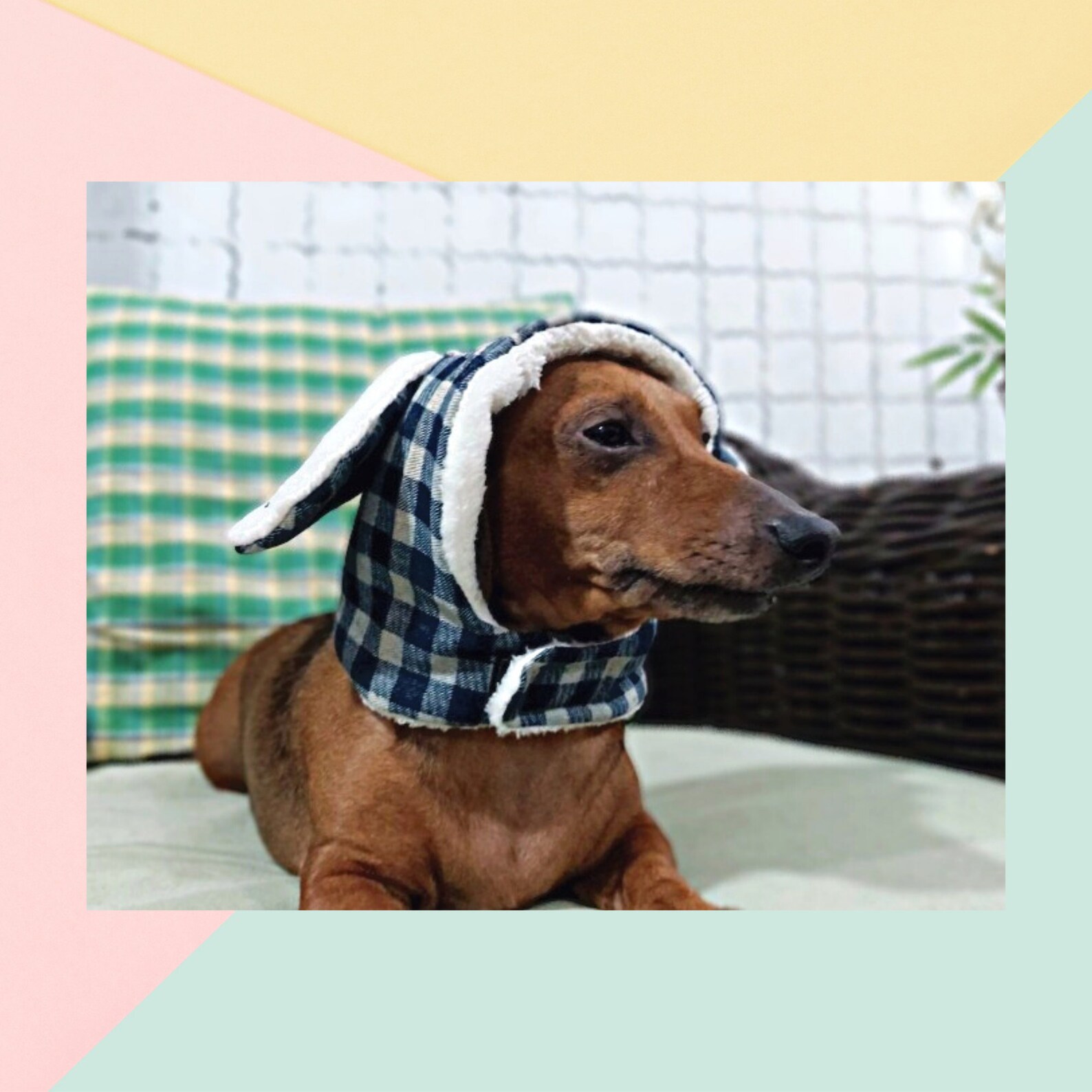 Dog Snood Sewing Pattern: 5 SIZES Included Reversible Winter Hat, Ear ...