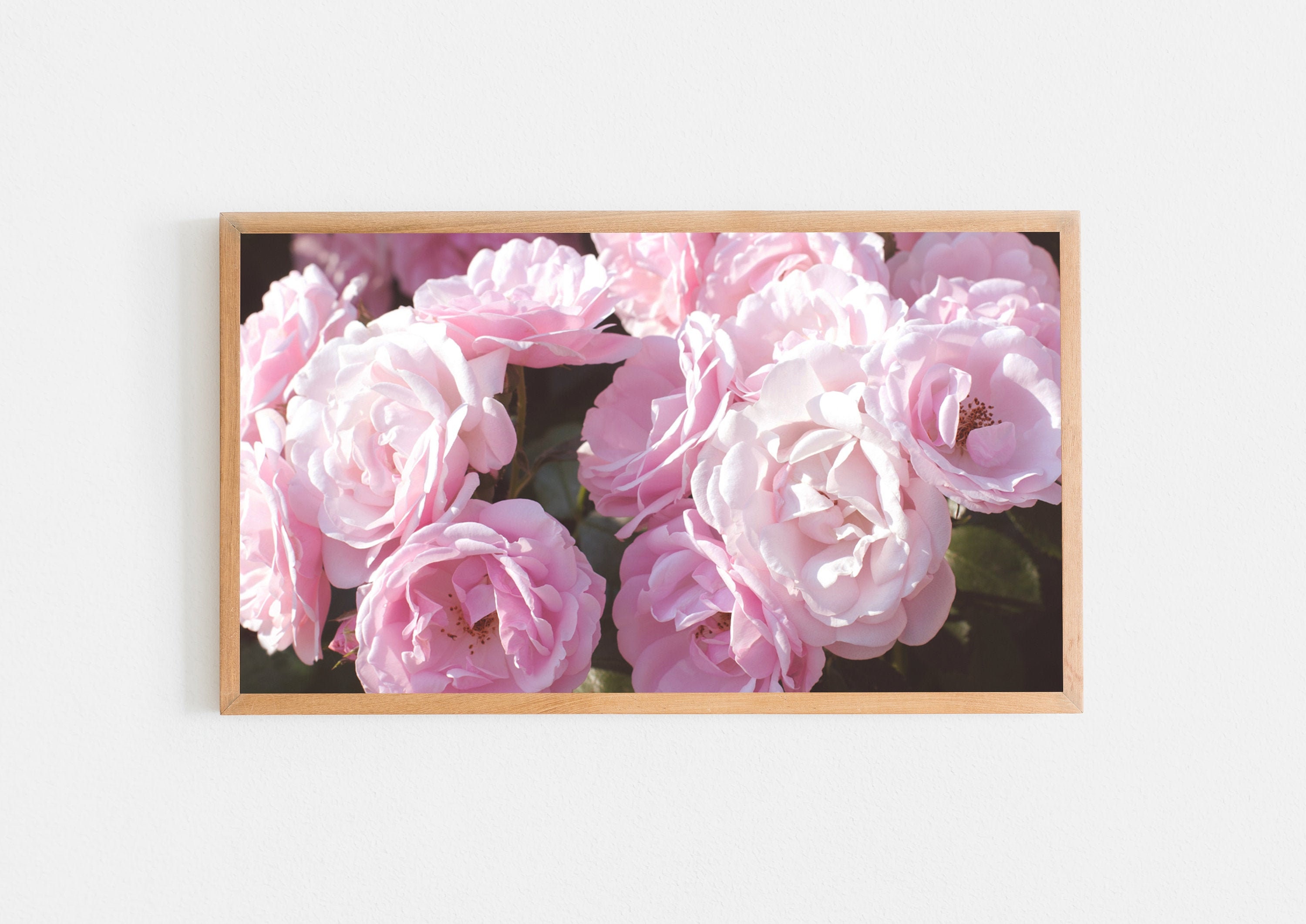 Pink Roses Tv Art Frame Tv Art 4k Flowers Plants Samsung the - Etsy UK