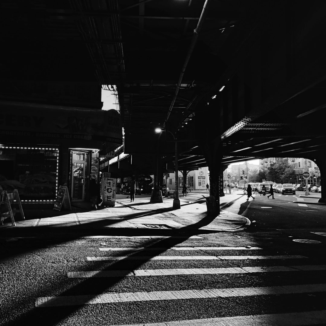 Charlotte Gardens, the Bronx Print, the Bronx Wall Art, New York City ...