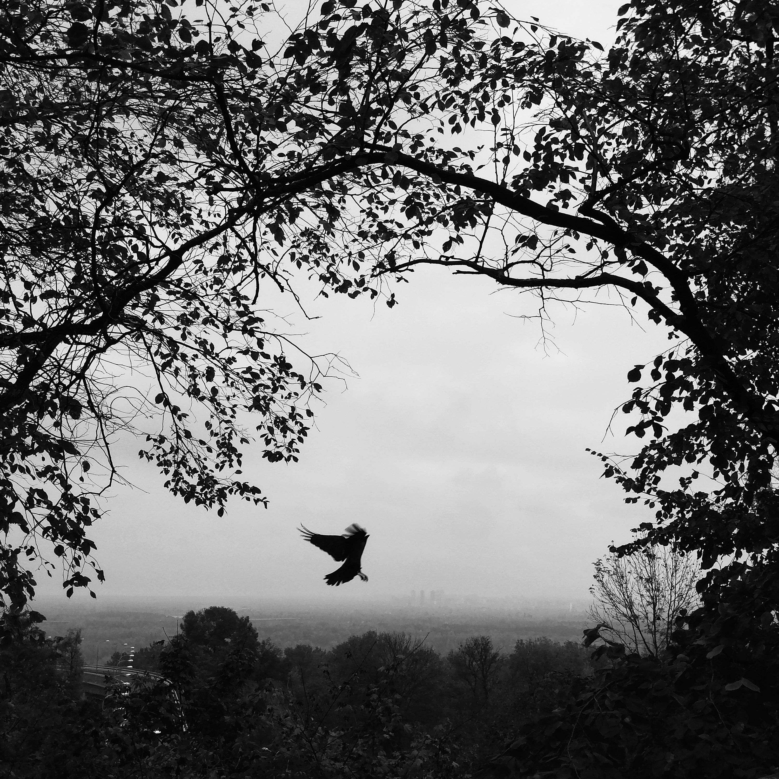 The Ukraine Collection: Set of 3 Ukraine Photography Prints - Etsy