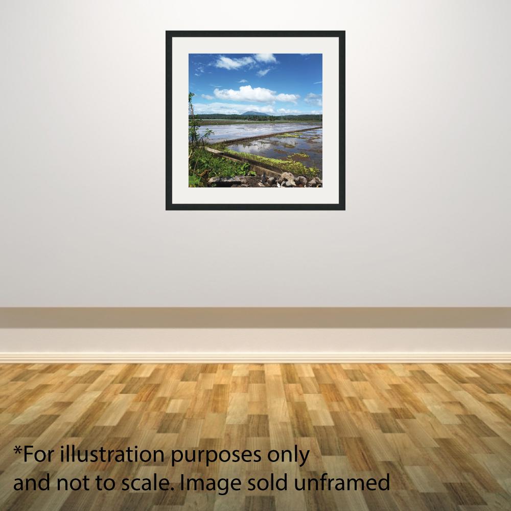Polangui, Bicol, Albay, Philippines Print, Philippines Photography ...