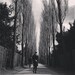The Denmark Collection: Set of 3 Denmark Photography Prints, Copenhagen ...
