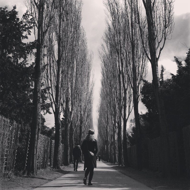 The Denmark Collection: Set of 3 Denmark Photography Prints, Copenhagen ...