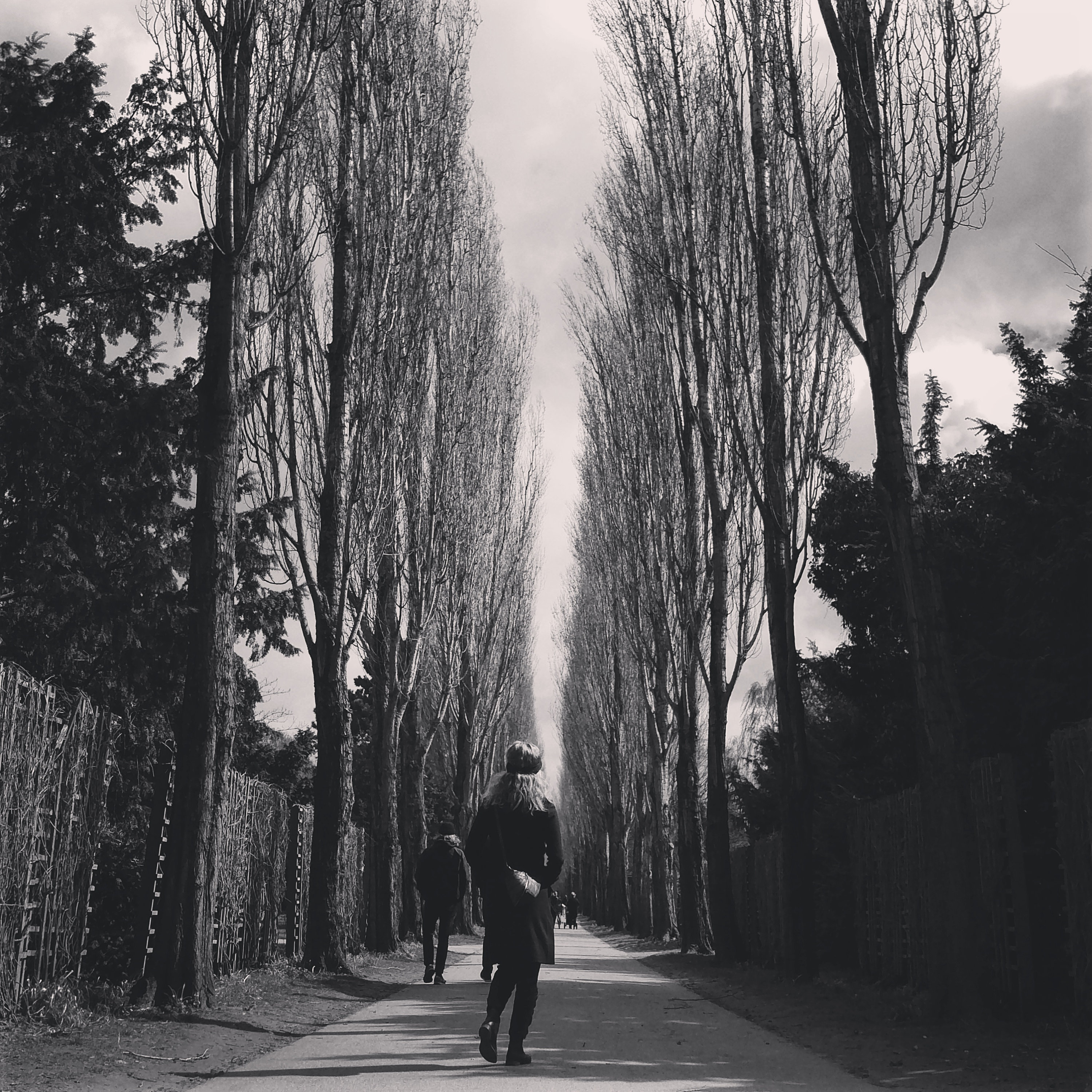 The Denmark Collection: Set of 3 Denmark Photography Prints, Copenhagen ...