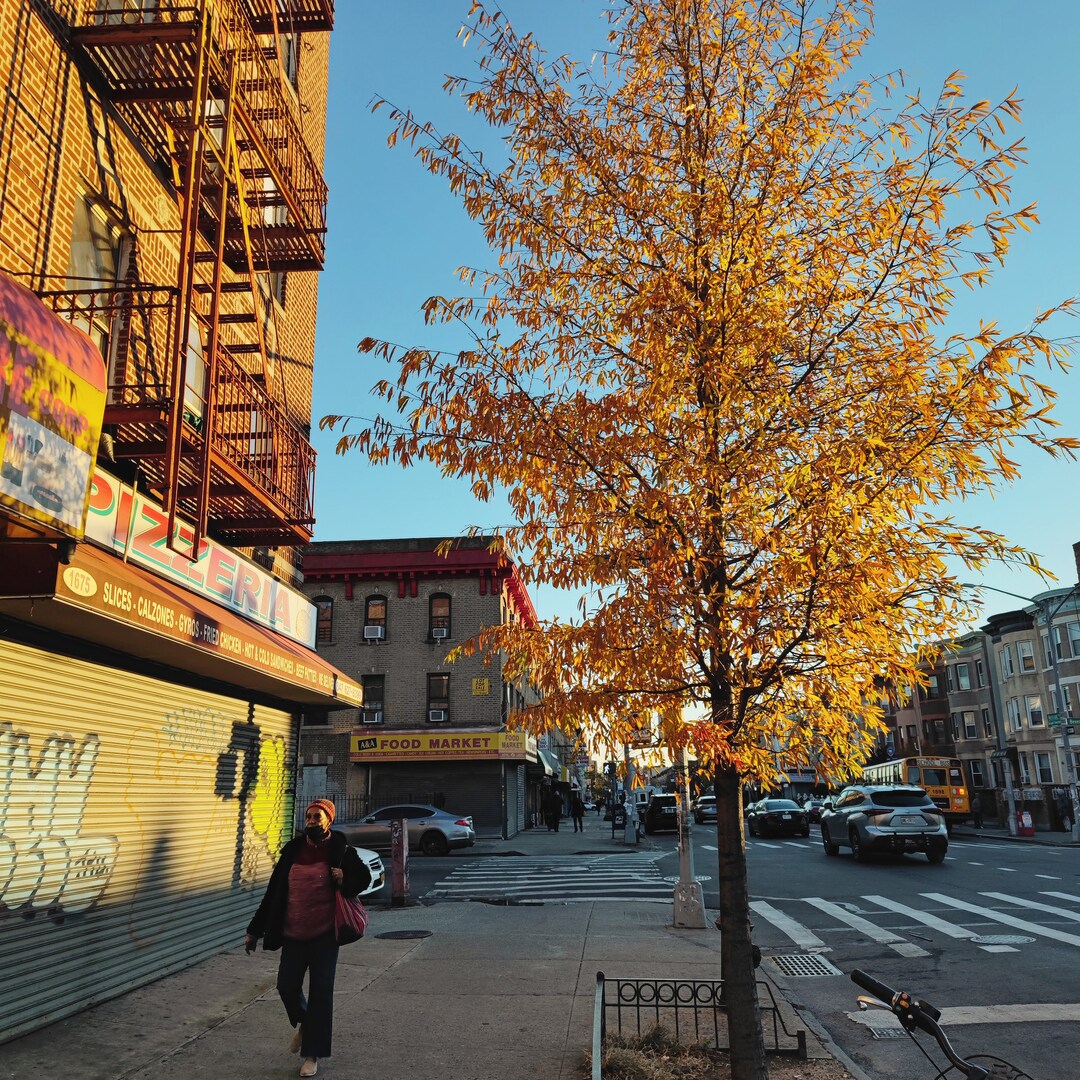 Flatbush Print, Autumn in Brooklyn, Autumnal Photography, Brooklyn ...