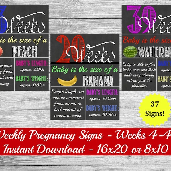 Weekly Pregnancy Sign - Etsy