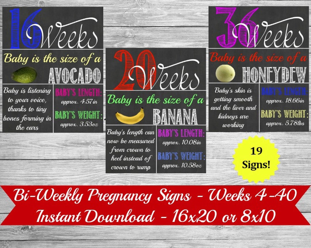 Bi-weekly Pregnancy Chalkboard, Maternity Photo Prop, Baby Bump Sign ...