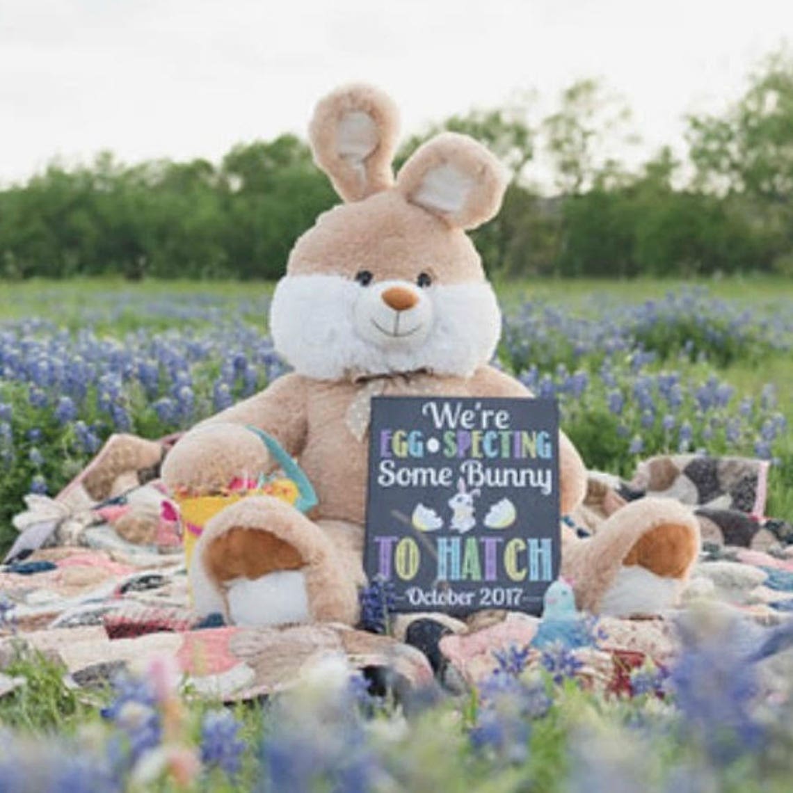 Easter Pregnancy Announcement Easter Reveal Easter Pregnancy - Etsy