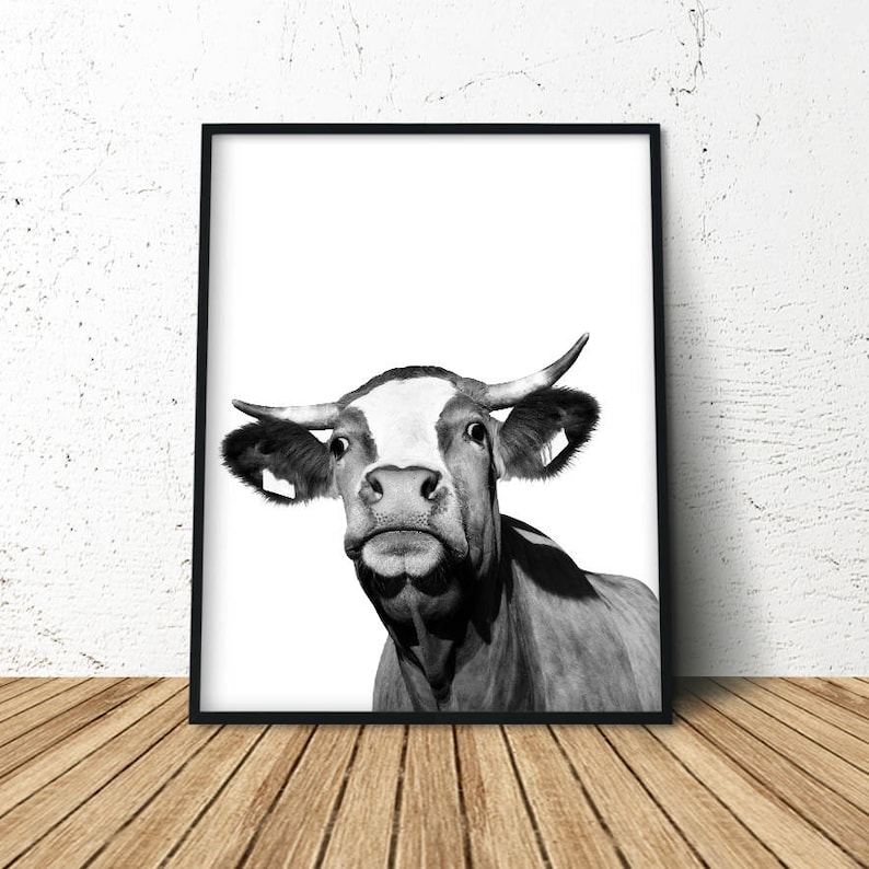 Cow Print Modern Farmhouse Cow Poster Cattle Photography - Etsy