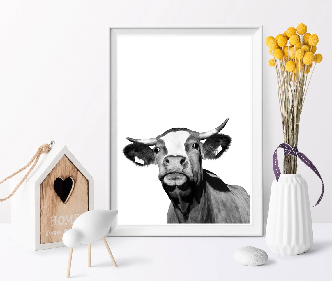 Cow Print Modern Farmhouse Cow Poster Cattle Photography | Etsy